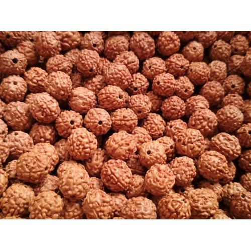 Jual Bahan Kerajinan D10mm Gelang Jenitri Rudraksha Genitri Citrangga ...