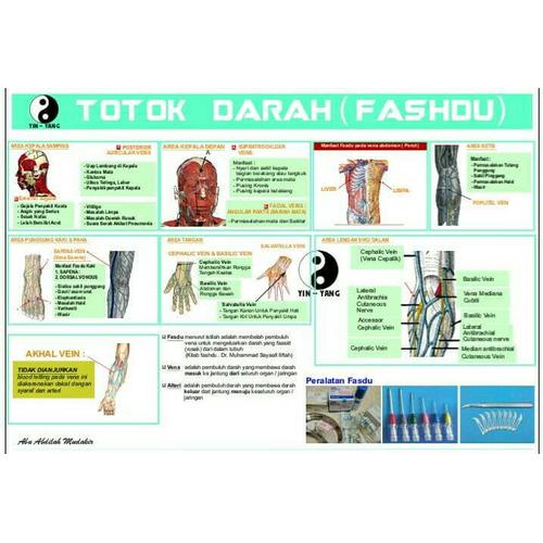 Jual poster fashdu / totok darah - Kab. Klaten - Importir92 | Tokopedia