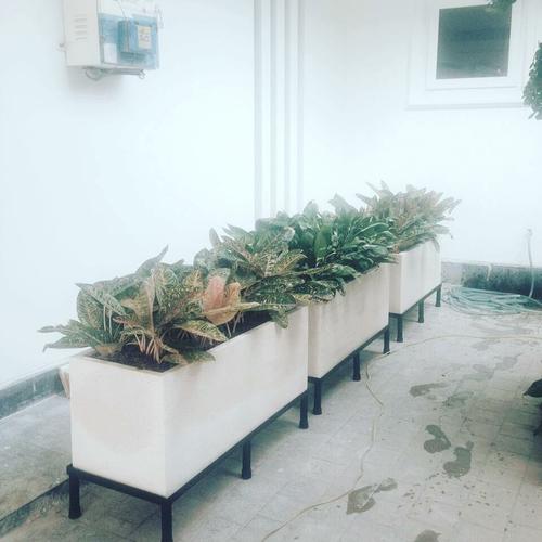 Jual Pot Panjang Murah 1 meter - Kota Depok - Teraso Studio | Tokopedia