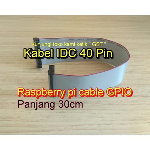 Jual Kabel data idc 40 pin GPIO raspberry pi cable konektor amphenol ...