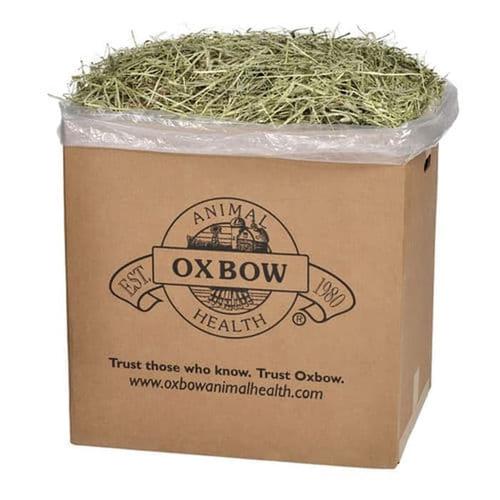 Jual OXBOW WESTERN TIMOTHY HAY 50LB /25KG - Kab. Tangerang - pets ...