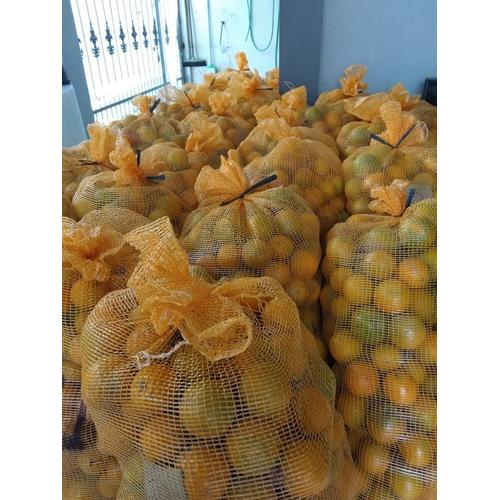 Jual SALE MURAH JERUK BABY MALANG JAVA JERUK PERAS PERAH MANIS SEGAR ...