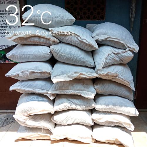 Jual PUMICE / BATU APUNG KARUNG -+20KG AQUARIUM AQUASCAPE - 10 LITER ...