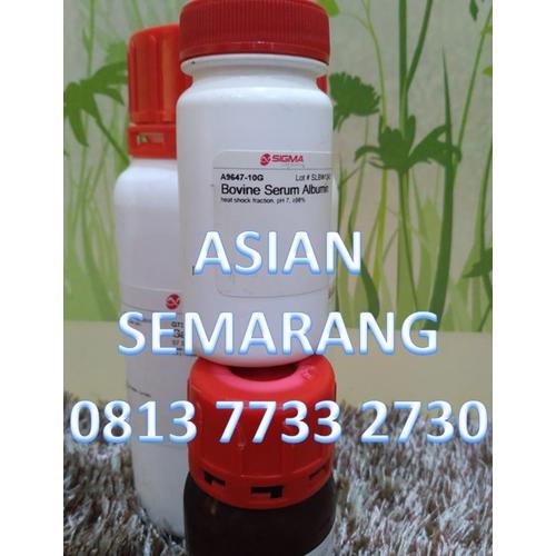 Jual Bovine Serum Albumin / BSA / Bovin Serum Albumin Sigma - Kota ...