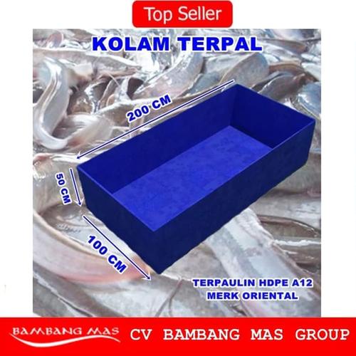 Jual Kolam Terpal Kotak Persegi Ukuran Dimensi 200 cm x 100 cm x 50 cm ...
