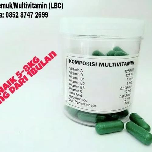 Jual Obat Gemuk LBC/MULTIVITAMIN 90 kapsul - Jakarta Timur - Lea Beuty ...