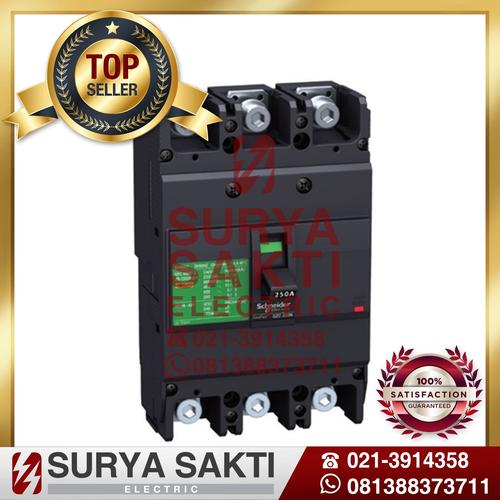 Jual SCHNEIDER MCCB EZC250F 3P 100A 100 A EZC250F3100 EZC 250F 18KA - Jakarta Pusat - Surya ...