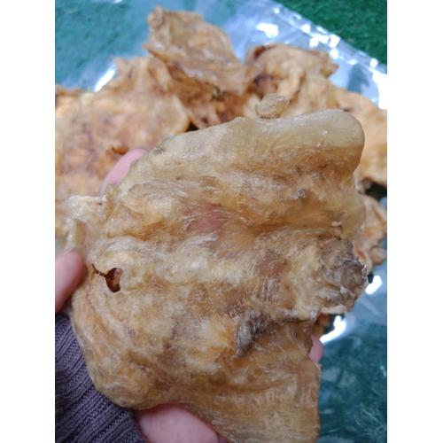 Promo Perut Ikan kerapu Hipio - Hupio Fishmaw peru ikan ukuran kecil ...