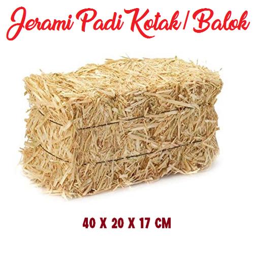 Jual Straw Bale 40x20x17 Cm Jerami Padi Kotak Jerami Kering Press Balok ...