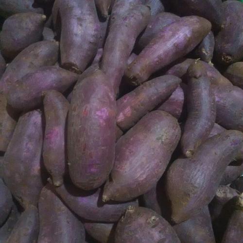 Jual Ubi Ungu Purple - Jakarta Barat - Kedai Ubi | Tokopedia
