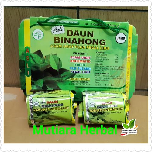 Jual DAUN BINAHONG KAPSUL PER HANGER - Kota Bogor - Toko Mutiara_Herbal | Tokopedia