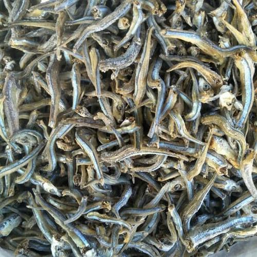 Jual Cumi, Udang Ebi dan Ikan Teri Tanjung Pinang - Kota Pekanbaru ...