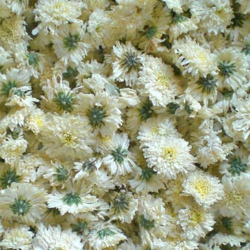 Jual White Chrysanthemum Tea 20g/Premium Tea/Flower Tea - Jakarta Barat ...