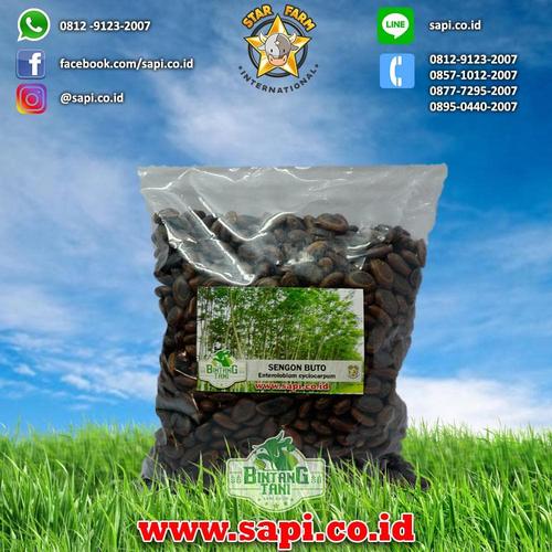 Jual Benih Sengon Buto 1Kg - Kab. Bogor - Star Farm Store | Tokopedia