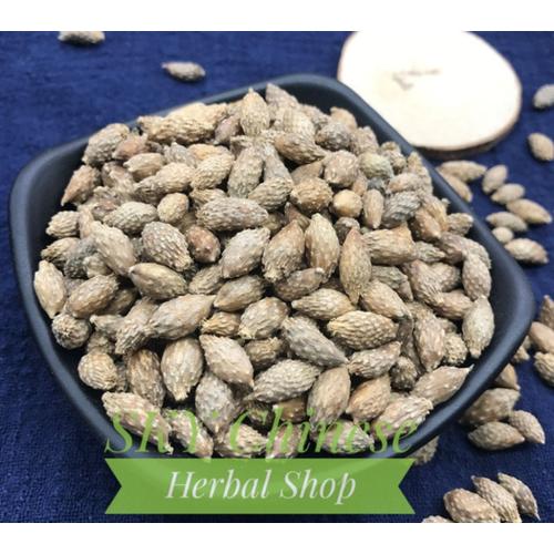 Jual Cang Er Zi / Xanthium Fruit / Cocklebur / Burweed Cang Er Ce ...