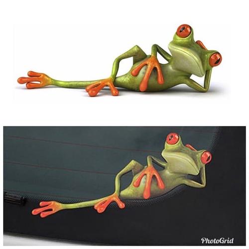 Jual Stiker Mobil Unik Lucu Printing Sticker Lazy Frog Kodok Tiduran ...