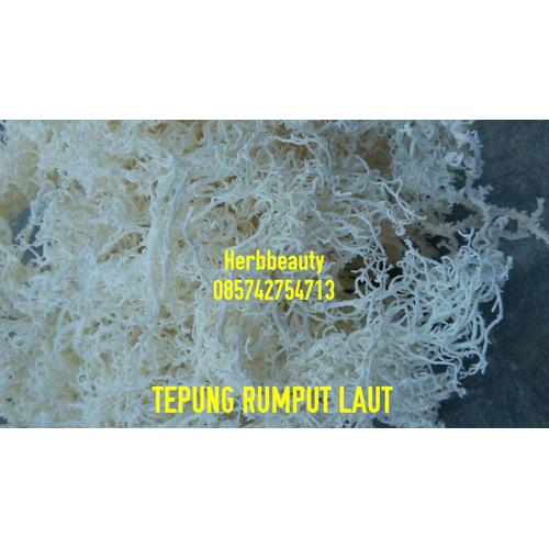 Jual Tepung Rumput Laut - Seaweed Powder - Eucheuma spinosum 500 gram ...