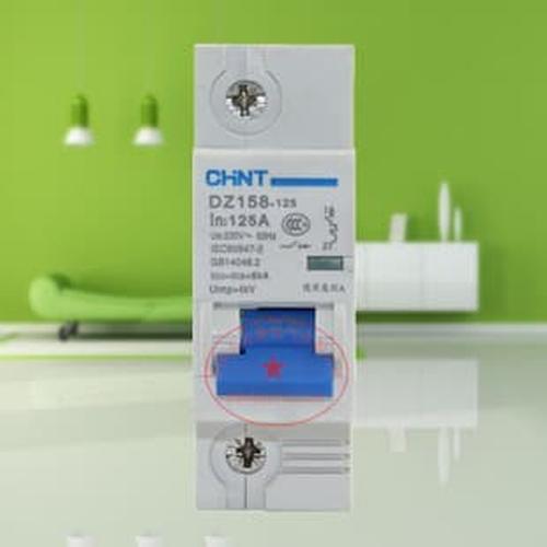 Jual MCB (Miniature Circuit Breaker) Chint DZ158/1P 125A 10kA MCCB - Jakarta Barat - Samudra ...