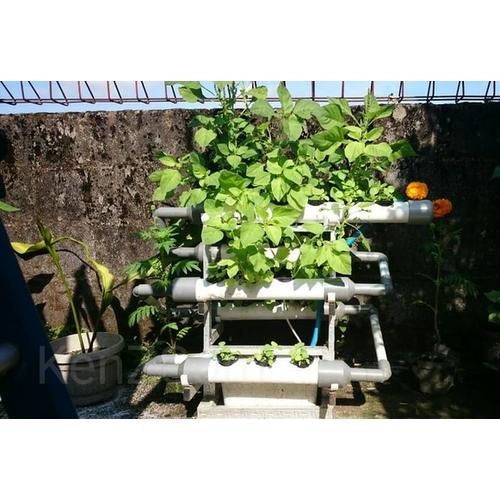 Jual hidroponik set Mini Garden Hydroponic/ Taman NFT DFT V.3.8 - Kab ...