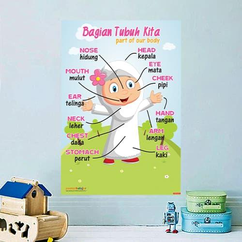 Jual Tipe 05 Poster Belajar Anak Anggota Tubuh - Kota Bekasi - Poster ...