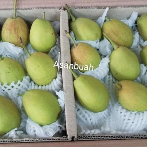 Jual Buah pir xianglie /box +-7kg pear xiangli jumbo xiang lie manis ...