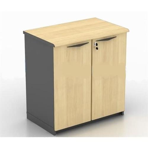 Jual Lemari Buku Arsip Dokumen Kantor Premium Eksklusif Pendek 2 Pintu ...