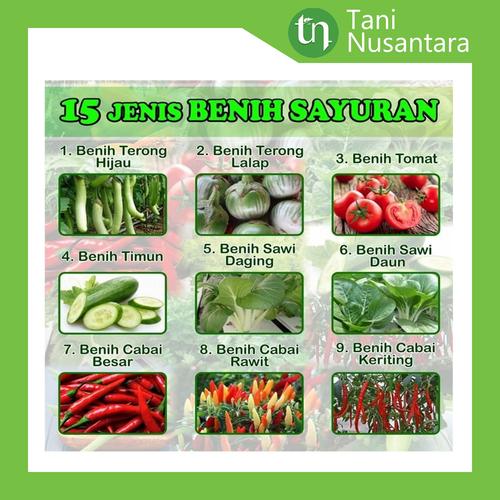 Jual Paket 15 Jenis Benih 3 Tray Semai 2 Rockwool - Kab. Blitar - Tani ...