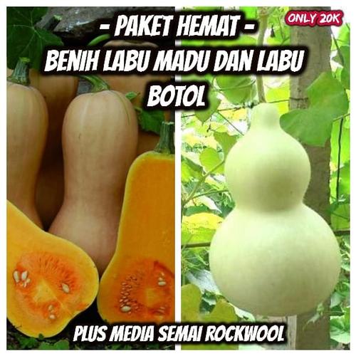 Promo PAKET HEMAT Benih - Biji - Bibit Labu Unik Labu Madu dan Labu ...