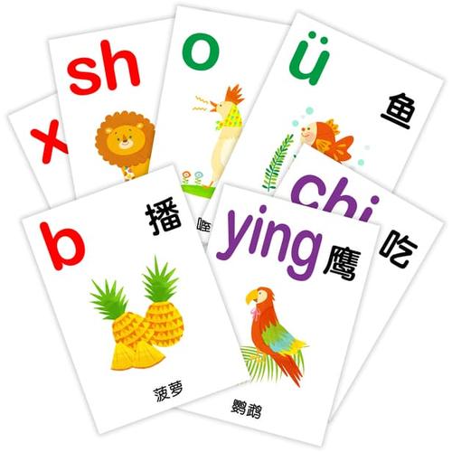 Jual Pinyin Cards (Chinese (Simplified)) Papercraft - Kab. Bekasi ...