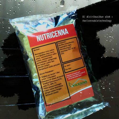 Jual Jual Produk Probiotik untuk Budidaya Udang dan Ikan Nutricenna ... Jual Jual Produk Probiotik untuk Budidaya Udang dan Ikan Nutricenna ...