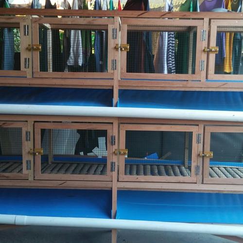 Jual kandang ternak kelinci - Kab. Bekasi - kandang hewan unik | Tokopedia