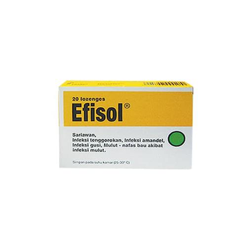 Promo EFISOL LOZENGES 2X10 / PERMEN MINT / PELEGA TENGGOROKAN - Jakarta ...