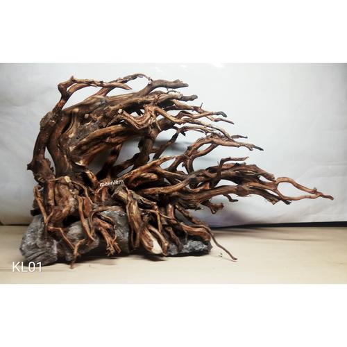 Jual bonsai aquascape rasio style - Kota Depok - Mjb Aquatic plants ...