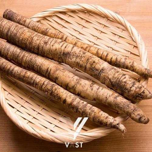 Jual Burdock Root Akar Gobo - Kab. Sidoarjo - GoodCheap | Tokopedia