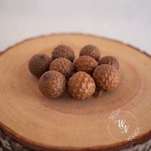 Jual BIJI ROTAN - ROTAN - RUSTIC - MAHAR - DRIED FLOWER - KERAJINAN ...