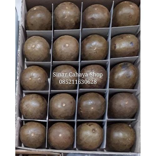 Jual Buah Lo Han Kuo (Lou Han Guo) Besar 1 butir - Jakarta Utara ...