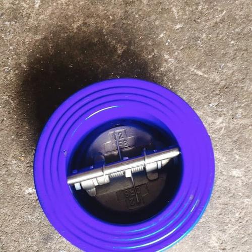 Jual 2 inch wafer check valve C/I - Jakarta Barat - Pusat Teknik Jaya ...