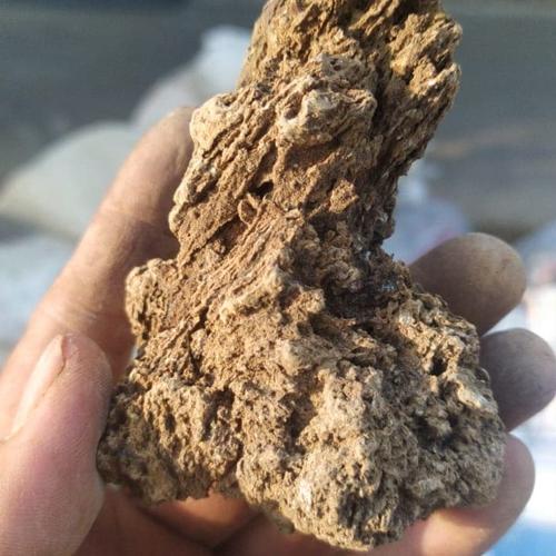 Jual BATU ERAGON GARANG STONE MIX - Jakarta Selatan - PLANETPLANTS ...