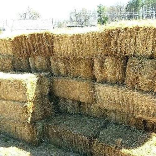 Jual Straw Bale Jerami Padi Press Kotak 3 Ukuran Order Ke Tangerang ...