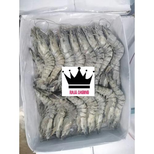 Jual UDANG BLACK TIGER / UDANG TIGER PRAWN @1Kg - SUPERR BESAR DAN ...