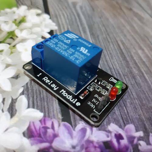 Jual Relay Module 1 Ch Low Level Trigger 5V Tanpa Optocoupler High ...