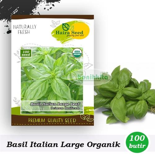 Jual Benih-Bibit Basil Italian Large Leaf Organik (Haira Seed) - Kota ...