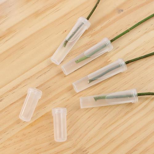 Jual Flower Tube / water tube / tabung bunga - L - Kota Tangerang ...