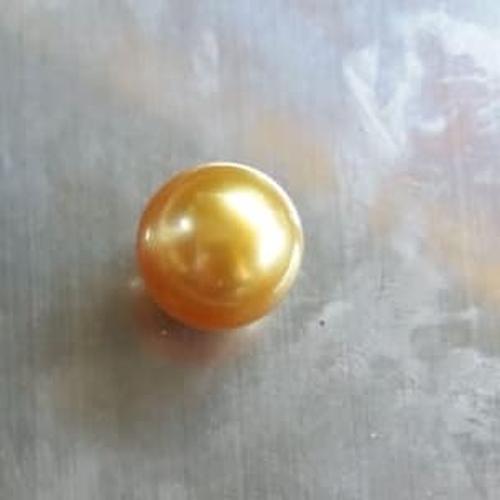 Jual butiran mutiara laut deep gold south sea pearl asli lombok ...