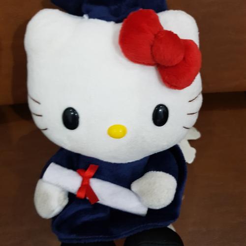 Jual boneka hello kitty wisuda original sanrio - Jakarta Pusat ...