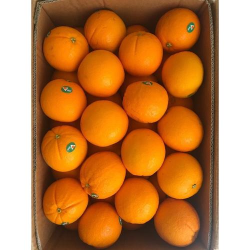 Jual BUAH JERUK NAVEL AUSTRALIA 500gram - Kab. Tangerang - Harvest Line ...