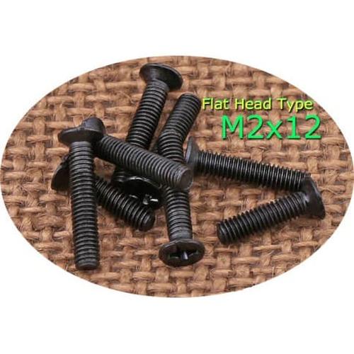 Jual Baut/Sekrup Laptop Notebook Netbook M2x12 Flat Head - Kab ...