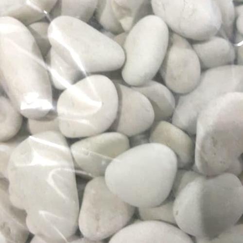 Jual Batu koral kupang putih. 1kg. Hiasan aquarium - Jakarta Selatan ...