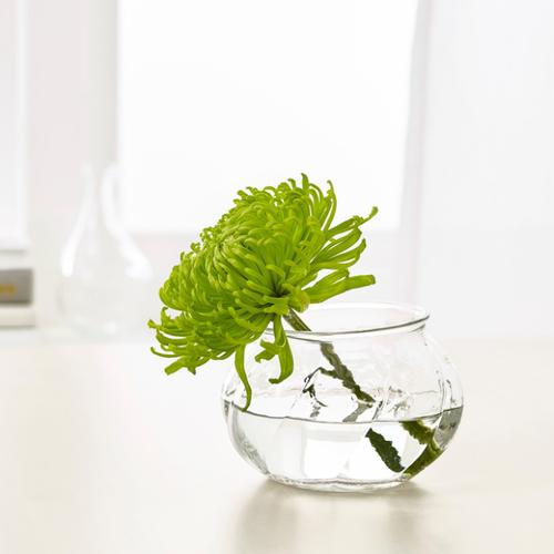 Jual Vas Bunga Bulat Kaca Bening Simple Elegant Transparent Flower Vase ...