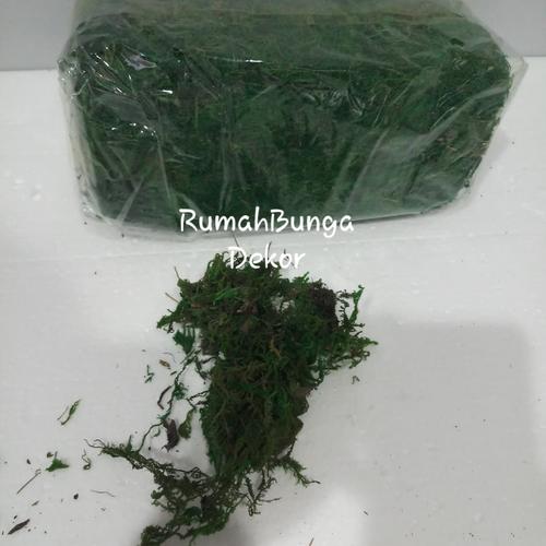 Jual Lumut Artificial - Jakarta Barat - Rumah Bunga Dekor | Tokopedia